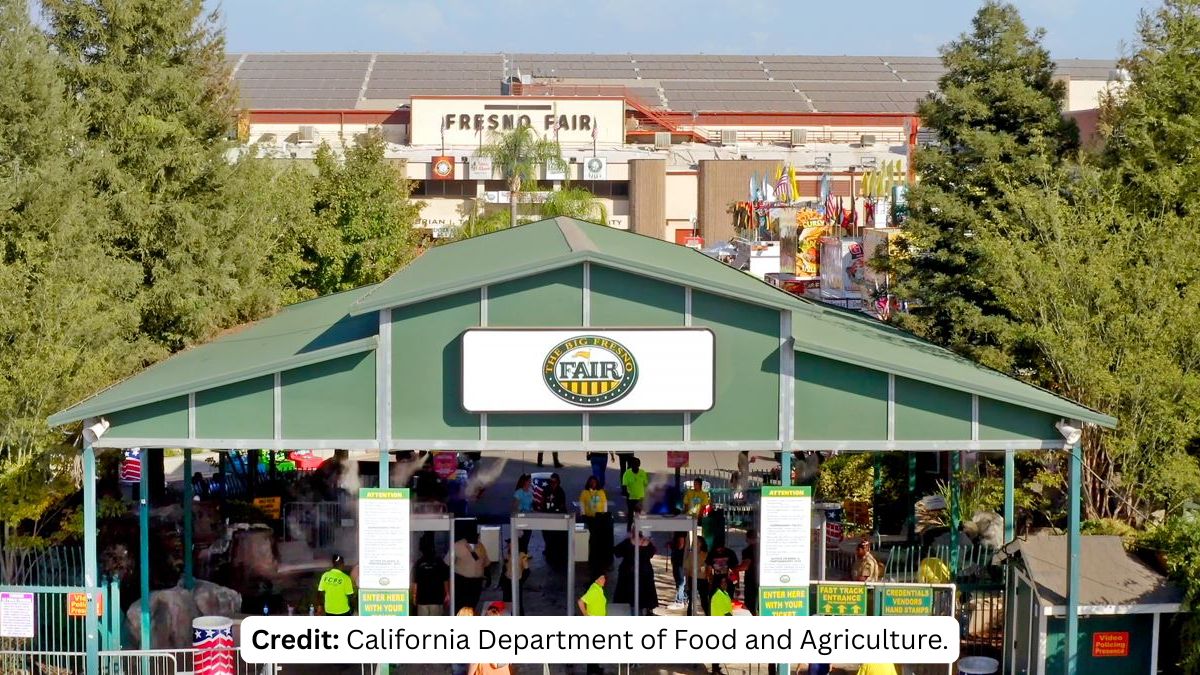 Big Fresno Fair 2025: New Attractions & Vital Safety Rules